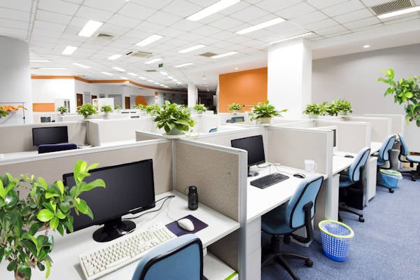 Zo maak je je kantoortuin winterklaar