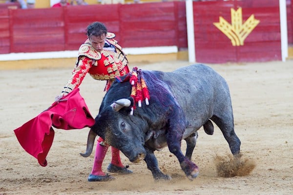Wereld Rouwt Om Dood Van Stierenvechter
